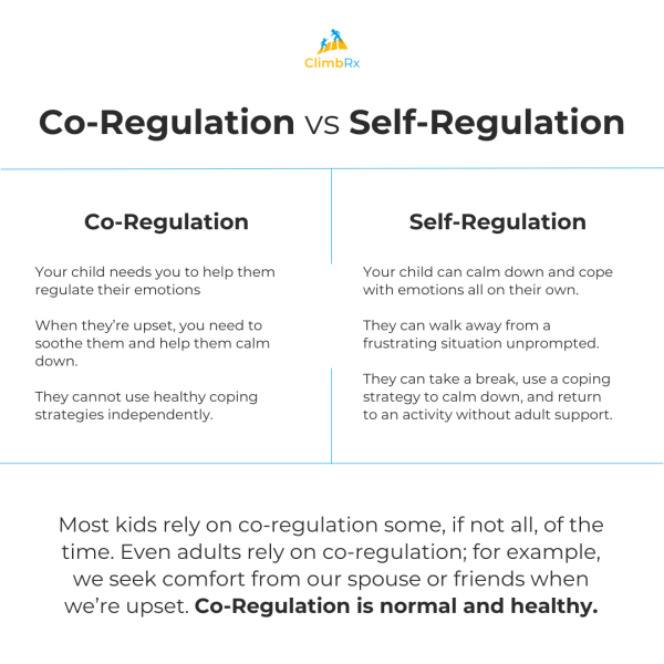 Co-Regulation and Behavior Supports for Getting Back to Baseline