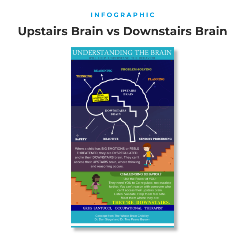 Upstairs Brain vs. Downstairs Brain - Think Sensory